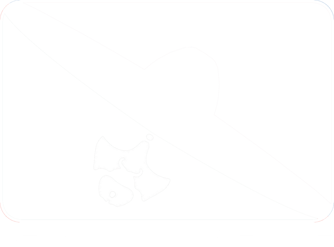 Mexico Racing League